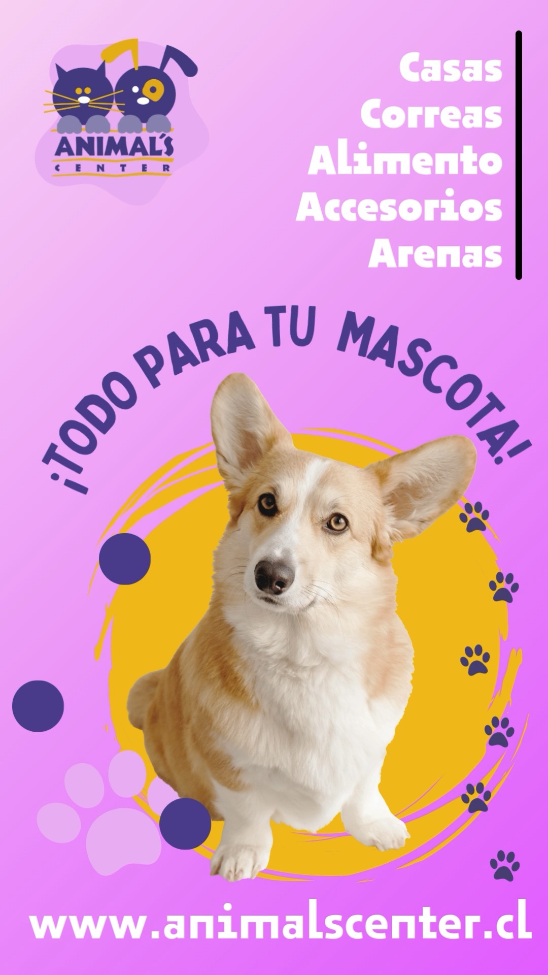 Inicio 2025 - Animals Center