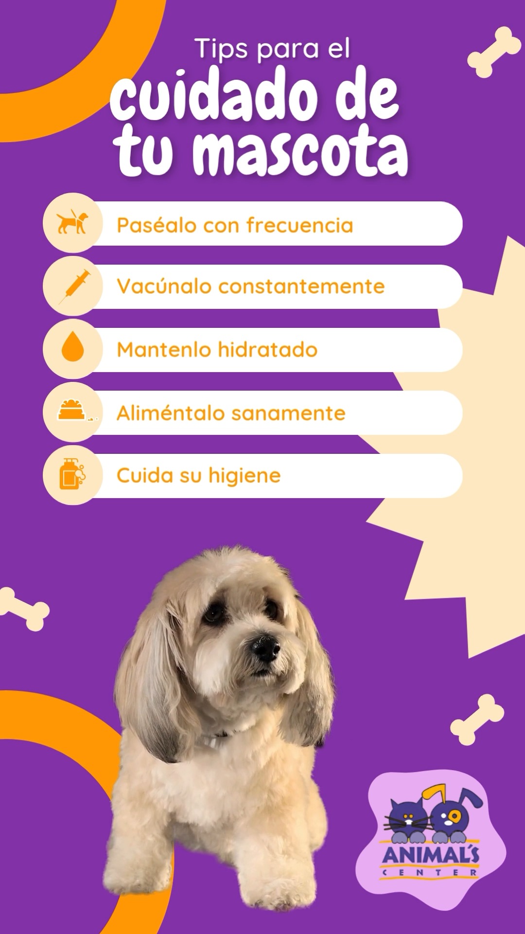 Inicio 2025 - Animals Center