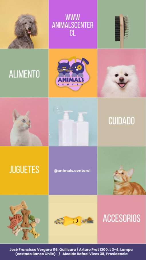 Inicio 2025 - Animals Center