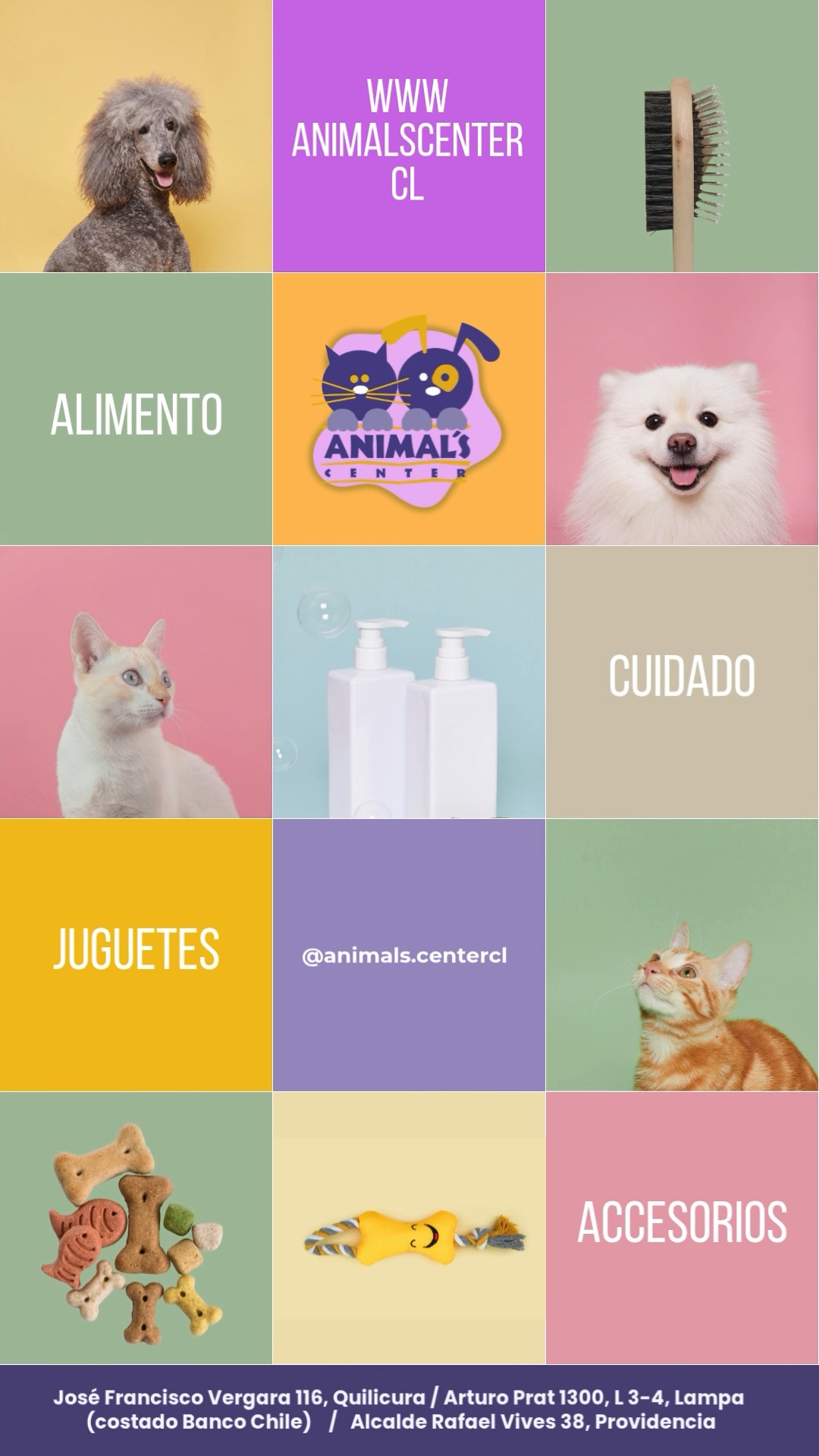 Inicio 2025 - Animals Center